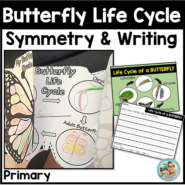 Butterfly Life Cycle Craft | Symmetry | Writing Activities - Teacher's ...