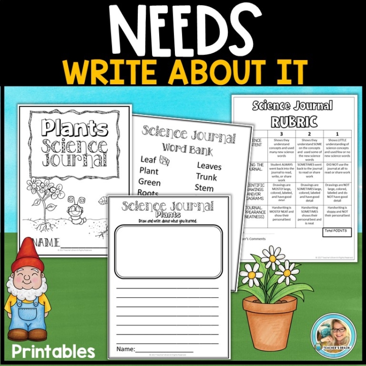 All About Plants | Parts of Plants | Life-Cycle - Teacher's Brain