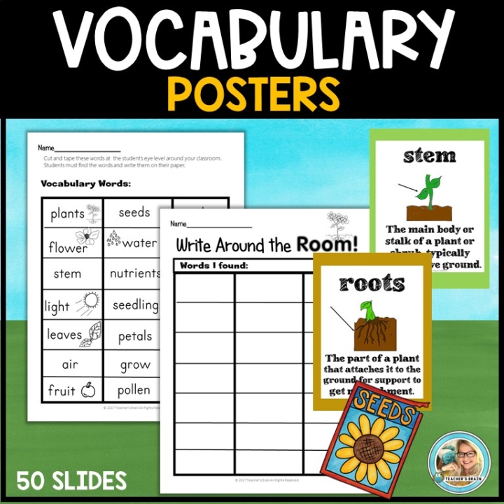 All About Plants | Parts of Plants | Life-Cycle - Teacher's Brain