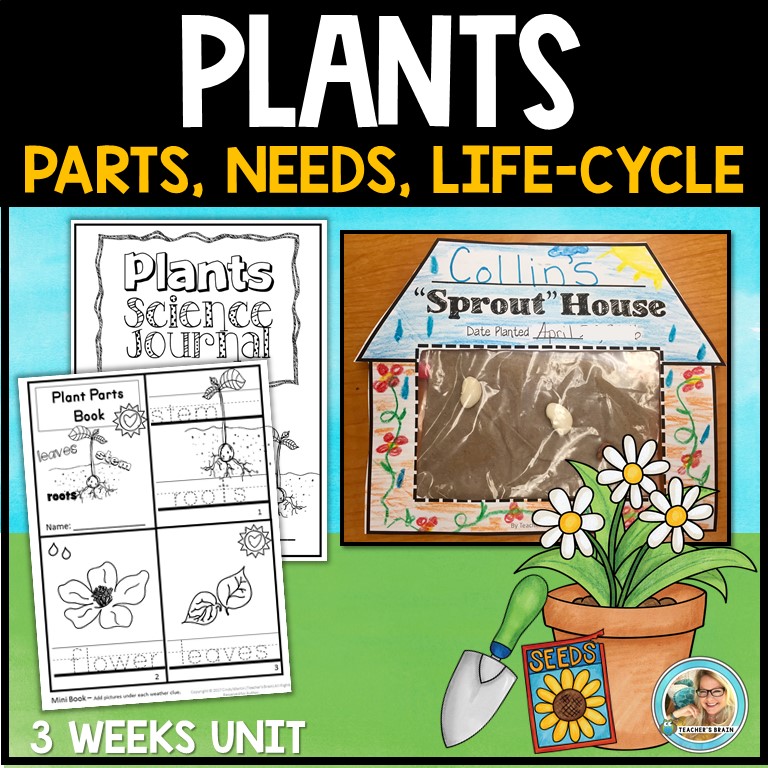 All About Plants | Parts of Plants | Life-Cycle - Teacher's Brain