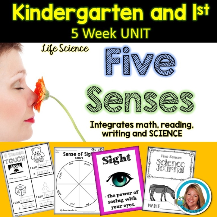 Five Senses Activities Kindergarten | First Grade - Teacher's Brain
