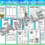 Science Curriculum kindergarten and 1st Grade Yearlong BUNDLE - Teacher ...