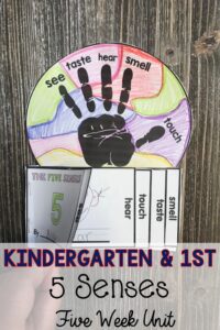 Five Senses Activities Kindergarten | First Grade - Teacher's Brain Blog