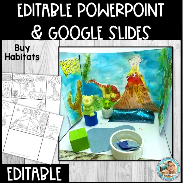 DESK PETS Classroom Management Kit | EDITABLE PowerPoint - Teacher's Brain