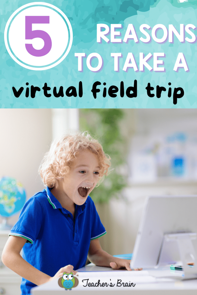 5 Reasons To Do Virtual Field Trips - Teacher's Brain