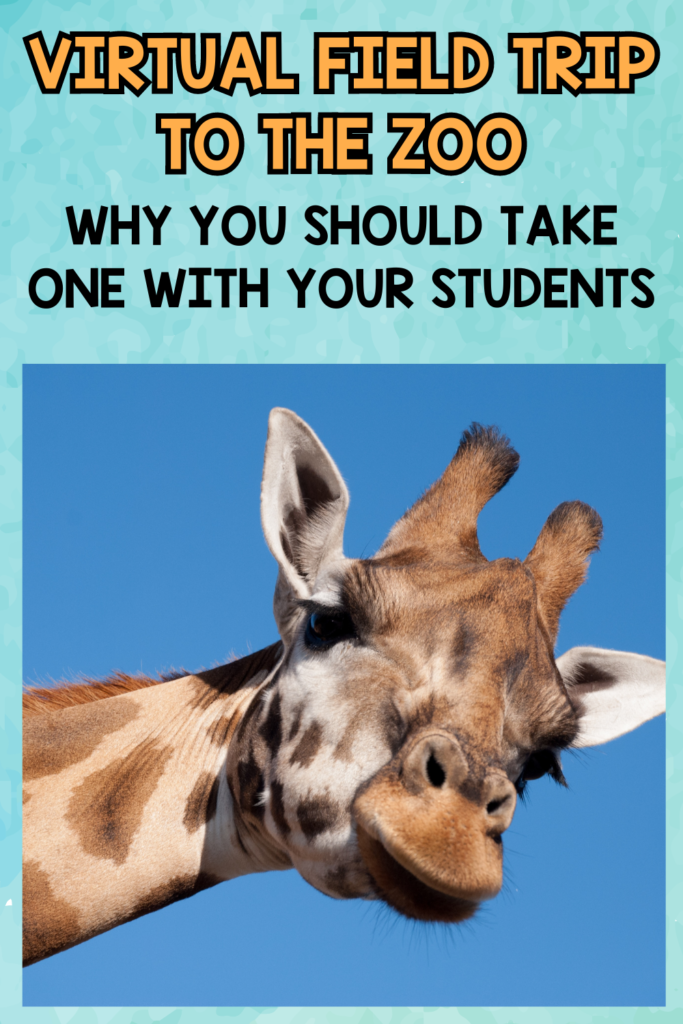 Why You Should Take a Virtual Field Trip To The Zoo With Your Students - Teacher's Brain
