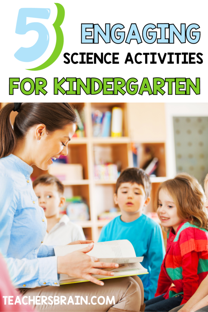 5 Engaging Kindergarten Science Activities - Teacher's Brain