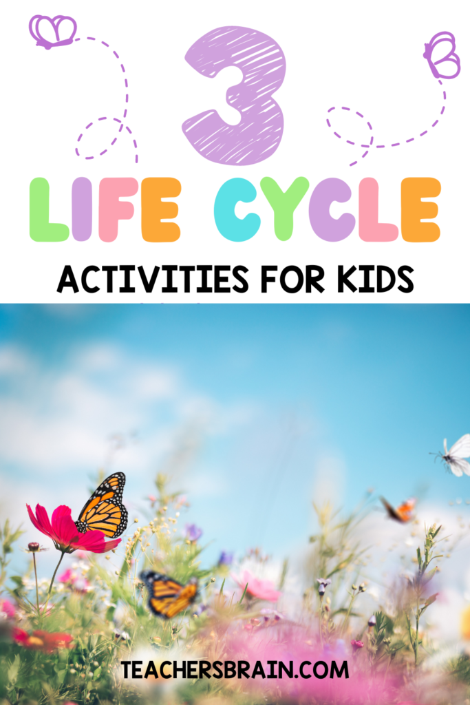 3 Engaging Life Cycle Activities Students Will Love - Teacher's Brain
