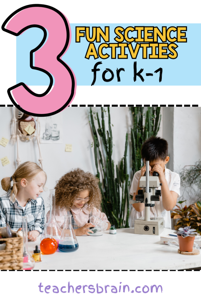 3 Fun Science Activities for Kindergarten and First Grade - Teacher's Brain