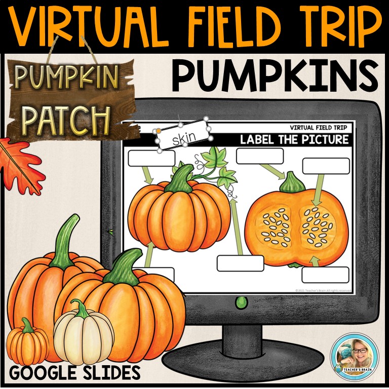 Pumpkin Patch Virtual Field Trip | Writing | Google Slides - Teacher's ...